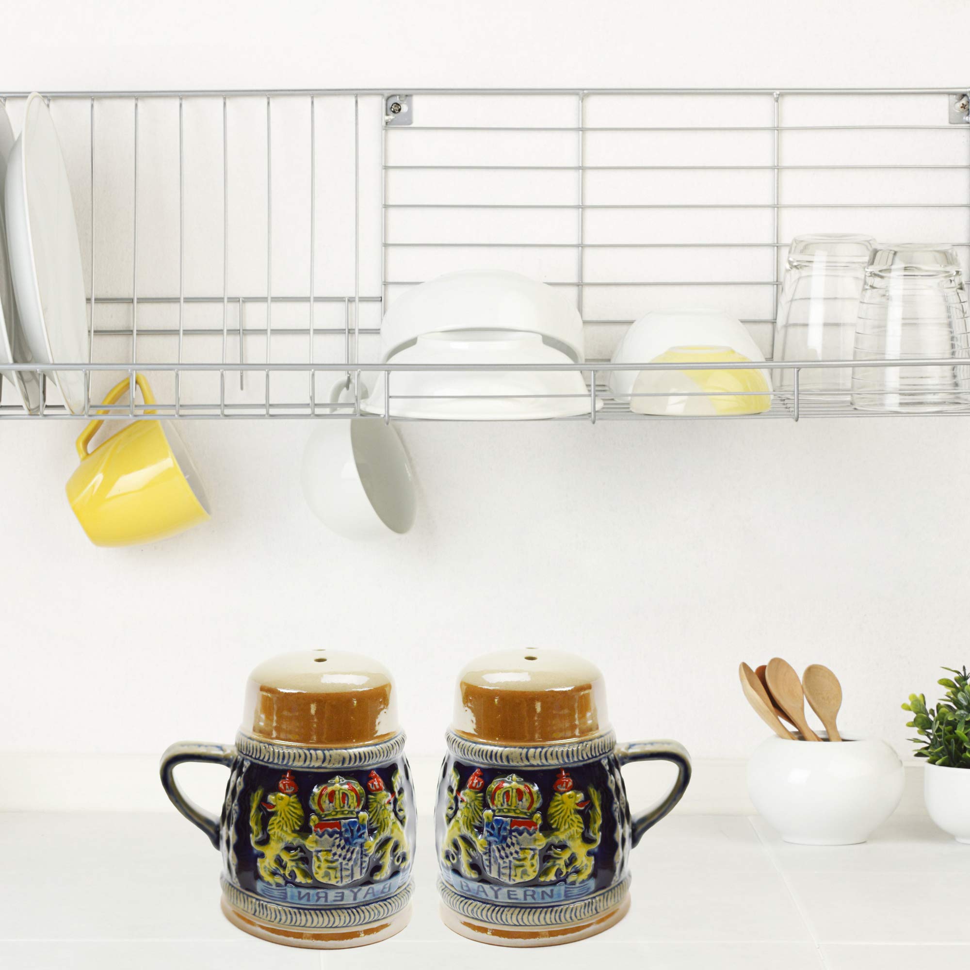 Bayern Crown & Lions Engraved Beer Stein German Kitchen Ceramic Salt and Pepper Shakers Set by E.H.G