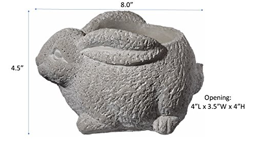 Classic Home and Garden 9/3442/1 Rabbit Planter, Large, Natural
