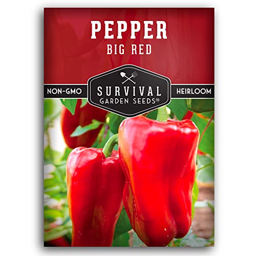 Survival Garden Seeds - Big Red Pepper Seed for Planting - Packet with Instructions to Plant and Grow Delicious Sweet Red Bell Peppers in Your Home Vegetable Garden - Non-GMO Heirloom Variety