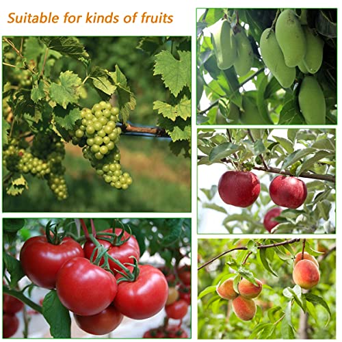 Miuezuth 100PCS Fruit Protection Netting Bags for Fruit Trees, 11x8 Inch Garden Mesh Barrier Bags to Protect Plants from Pest Birds Squirrels, Fruit Cover Mesh Bag with Drawstring, Reusable, Green