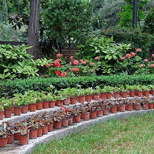 100 Pieces Plastic Plant Nursery Pots Reusable Plant Seeding Nursery Pot Flower Plant Containers Seed Starting Pots for Gardens, 3 Sizes (Brown)