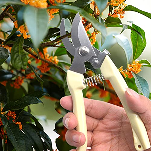 Sunnyac Garden Pruning Shears Scissors, 2 Pack Gardening Tools Hand Pruners, Floral Secateurs, Tree Trimmer, Clippers for Cutting Flowers and Plants, Trimming Branches, Bonsai, Fruits Picking (Color1)