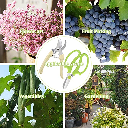 Sunnyac Garden Pruning Shears Scissors, 2 Pack Gardening Tools Hand Pruners, Floral Secateurs, Tree Trimmer, Clippers for Cutting Flowers and Plants, Trimming Branches, Bonsai, Fruits Picking (Color1)