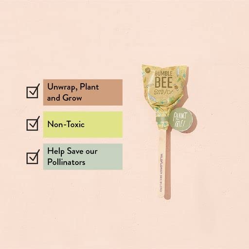 Modern Sprout Seed Lollipops, Garden Seed Packet, Indoor Garden or Outdoor Plants , Organic Seeds, Perrenial Wildflower Mix, 10 Pack