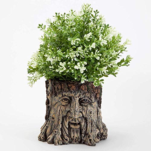 Bits and Pieces - Tree Face Garden Planter - Durable Polynesian Indoor-Outdoor Urn for Plants - Forest Inspired Whimsical Garden Décor