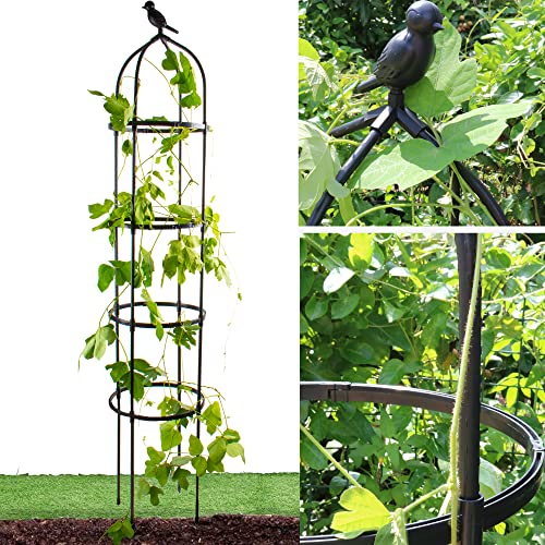 Garden Trellis for Climbing Plants, Rustproof Metal Pipe with Heavy Duty 6ft, Garden Outdoor Indoor Potted Plant Supportļ¼Blackļ¼ā¦