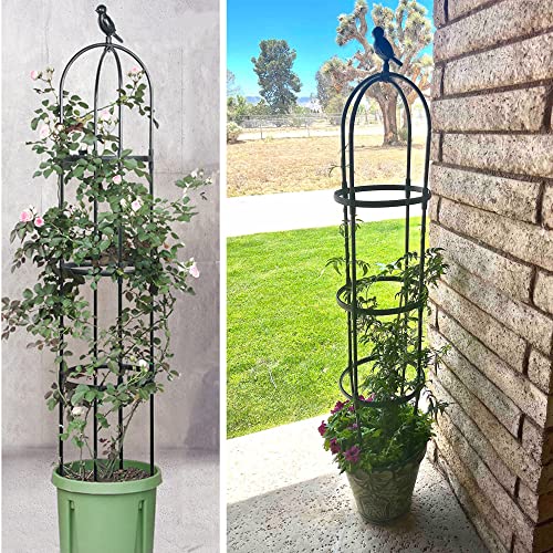 Garden Trellis for Climbing Plants, Rustproof Metal Pipe with Heavy Duty 6ft, Garden Outdoor Indoor Potted Plant Support(Black)…
