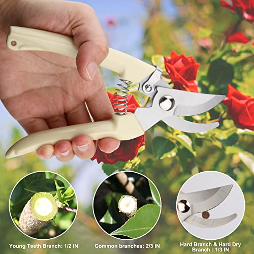 QIIYCCE Garden Shears,Lightweight Stainless Steel Bypass Pruning Shears,Sharp Garden Scissors For Pruning, Fruits, Flowers, Plants (1 PACK)