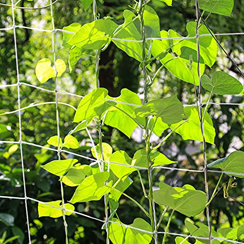 Hoople 5X15ft Garden Plant Trellis Netting Mesh Flexible String Net with Square Mesh for Climbing Plants, Vegetables, Fruits, and Flowers