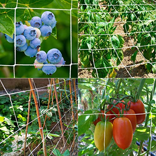 YXNBIIN Heavy Duty Trellis Netting Bulk Roll - 5ft × 350ft Soft Mesh Support Garden Netting for Climbing Plants, Grape Racks, Cucumbers, Melons, Vine Vegetables, Fruits, and Flowers