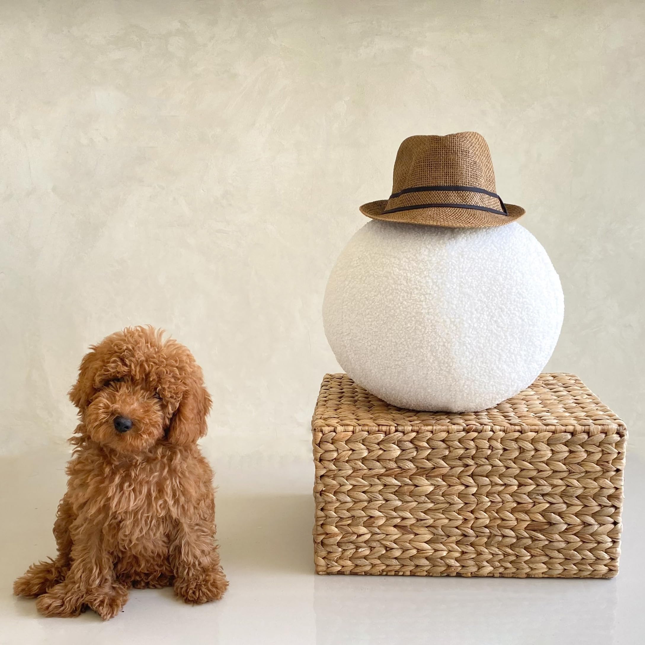 MORSHA Boucle Ball Pillow - 11.8 Inch Round Sphere cushion for Modern, Chic, and Boho Style Home Decor - Cute, Trendy, and Comfortable, GIFT, Teddy boucle fleece,Orb (IVORY)
