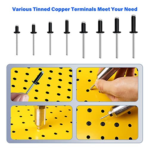 600PCS Black Pop Rivets, 8 Sizes of Aluminum Blind Rivets Assortment Kit(1/8" x 1/4", 5/16", 3/8", 1/2"; 3/16" x 5/16", 3/8", 1/2", 5/8")