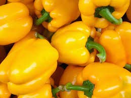 Golden California Wonder Sweet Bell Pepper Seeds, 50+ Heirloom Seeds Per Packet, (Isla's Garden Seeds), Non GMO Seeds, Botanical Name: Capsicum annuum, Great Home Garden Gift