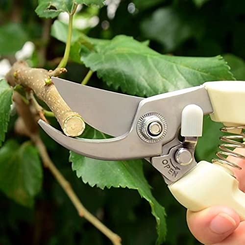 MEPEREZ Pruners, pruning shears heavy duty, premium garden scissors for hedge, bonsai, floral, small stem, orchard and vegetable pick, upgraded, gardening tools anvil snips, plant clippers 2 pack