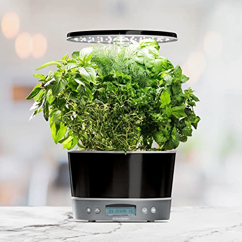 AeroGarden Harvest Elite 360 with Gourmet Herb Seed Pod Kit - Hydroponic Indoor Garden, Platinum Stainless