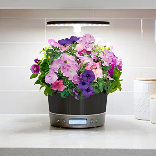 AeroGarden Harvest Elite 360 with Gourmet Herb Seed Pod Kit - Hydroponic Indoor Garden, Platinum Stainless