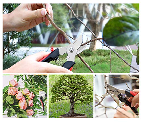 Housolution Pruning Shears Father's Day Gifts, Premium Heavy Duty Stainless Steel Ultra Sharp Multi-purpose Hand Pruning Scissors Snip Leaf Trimmer Branch Clippers with Handle for Garden, Black & Red