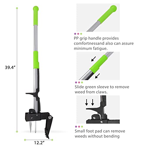 ORIENTOOLS Garden Weeder, Stand-up Steel Weeding Root Puller with 39 Inch Long Handle, Labor Saving Dandelions Remover Tool with 4 Claws and Heavy Duty Foot Pedal, No Bending or Kneeling