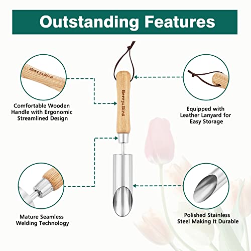 Berry&Bird Bulb Planter Tool, 12" Stainless Steel Garden Bulb Transplanter, Manual Hole Digger with Wooden Handle, Transplanting Agricultural Dibble Tool for Seed Planting & Flower Planter