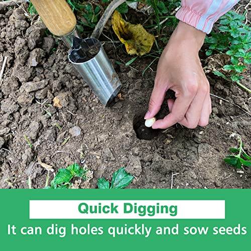 Berry&Bird Bulb Planter Tool, 12" Stainless Steel Garden Bulb Transplanter, Manual Hole Digger with Wooden Handle, Transplanting Agricultural Dibble Tool for Seed Planting & Flower Planter