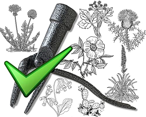 Aurbar Hand-Weed-Puller-Tool-Stand-up-Heavy-Duty Weed-Puller-Stand-Up-Weeder-for-Garden - Without Bending or Kneeling - Cast Iron + Anti-Rust Coating - Silver Gray(NO Pole)