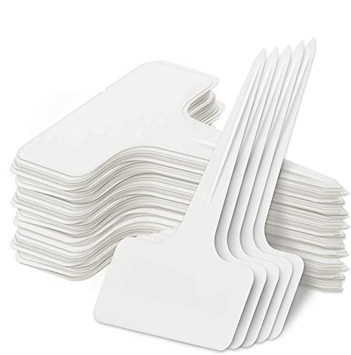 Hoople 100 Pcs 3.9 Inch Plastic Plant Labels Garden Marker Nursery Tags T-Type Stake Notes Strip White (1.2x2.3x3.9 in)