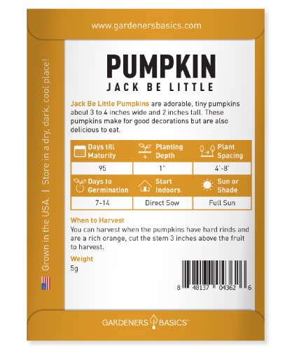 Mini Pumpkin Seeds for Planting (Jack Be Little) Small Heirloom, Non-GMO Vegetable Variety-5 Grams Seeds Great for Summer Pumpkin Gardens by Gardeners Basics