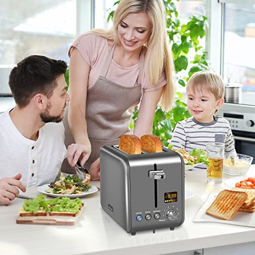 SEEDEEM Toaster 2 Slice, Stainless Steel Bread Toaster with Colorful LCD Display, 7 Bread Shade Settings, 1.4'' Wide Slots Toaster with Bagel/Defrost/Reheat Functions, Removable Crumb Tray, 900W, Dark Metallic