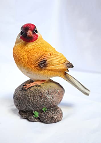 PLUSMORE Set of 2 Robin Ornament Bird Statue Animal Figurine Garden Sculpture Home Indoor Outdoor Decor Yard Lawn Resin