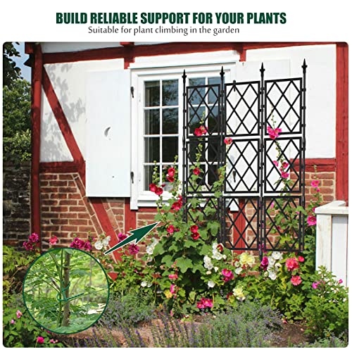 WellSign Garden Trellis for Climbing Plants Outdoor and Indoor 63inch, Sturdy Rustproof Coated Metal Support Fence Climbing Frame with 20 Reusable Ties for Ivy Vines Vegetable Flower 1Pack