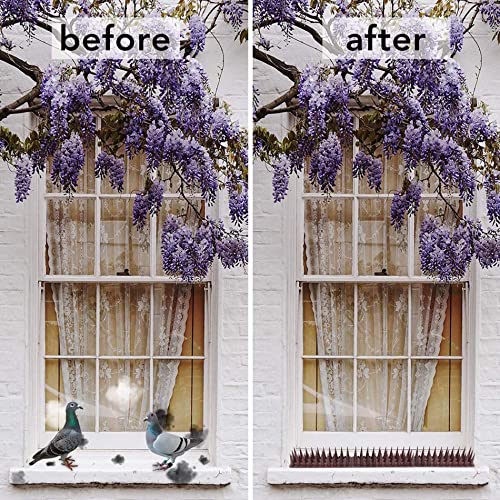 Defender Spikes, Upgraded Bird and Cat Spikes for Pigeon, Cat and Small Animals - Protect Your Sofa, Garden, Outdoor Walls, Anti Theft Climb, Plastic Security Fence Spikes - 8pack [12FT]