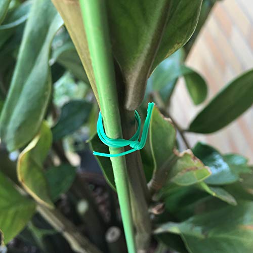 VIMOA Garden Twine 164 Feet Garden Twist Ties with Cutter for Plants, Vines and Wrapping Cords Christmas Tree Tie