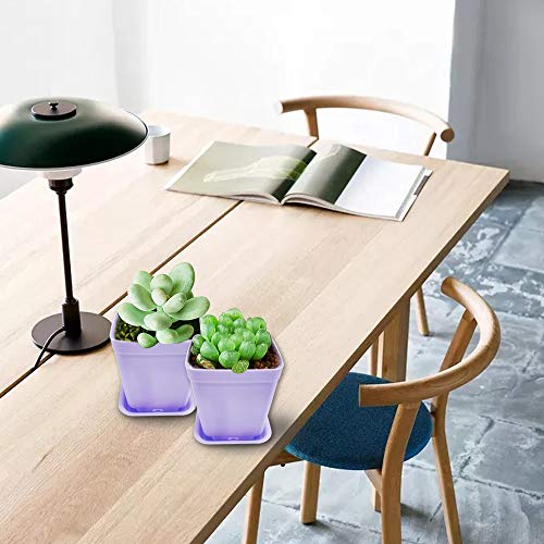 24 Pack Plastic Square Nursery Pots 3 Inch Plastic Plant Pots,Flower Pot with Tray Saucer for Indoor Outdoor Garden Office Decor