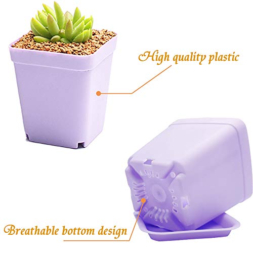 24 Pack Plastic Square Nursery Pots 3 Inch Plastic Plant Pots,Flower Pot with Tray Saucer for Indoor Outdoor Garden Office Decor