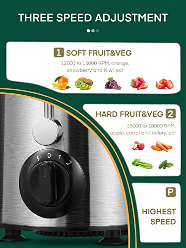 Juicer Machines, HOUSNAT Juicer Whole Fruit and Vegetables with 3-Speed Setting, Upgraded Version 400 W Motor Quick Juicing, Cleaning Brush and Juicing Recipe Included