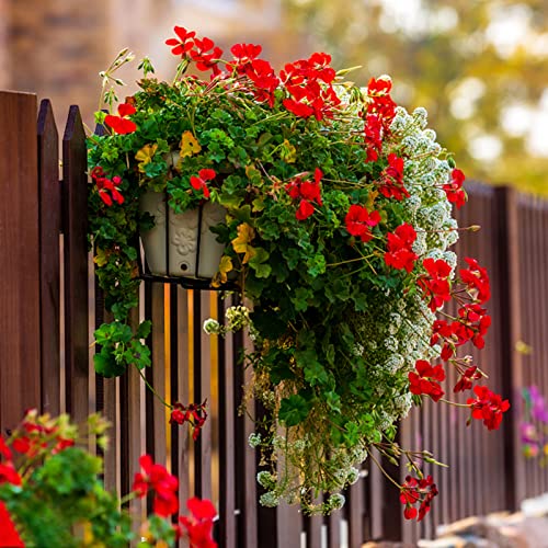 defutay Hanging Railing Planters, 4 Pack Round Flower Pot Holders,Metal Pot Plant Baskets for Balcony,Garden,Indoor & Outdoor(Black,4 PCS)
