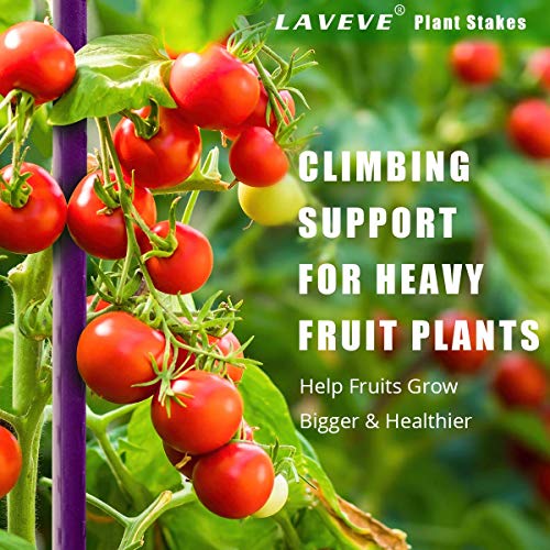 LAVEVE Garden Stakes 48 Inches Heavy Duty Steel Tomato Stakes, Plastic Coated Support Stakes for Securing Trees, Climbing Plants, Cucumber, Beans, Pack of 20