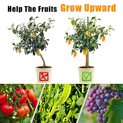 LAVEVE Garden Stakes 48 Inches Heavy Duty Steel Tomato Stakes, Plastic Coated Support Stakes for Securing Trees, Climbing Plants, Cucumber, Beans, Pack of 20