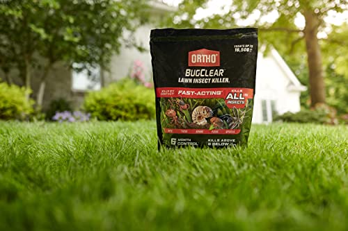 Ortho BugClear Lawn Insect Killer1: Treats up to 16,500 sq. ft., Protect Your Yard & Garden Against Ants, Spiders, Ticks, Armyworms, Fleas & Grubs, 10 lbs.
