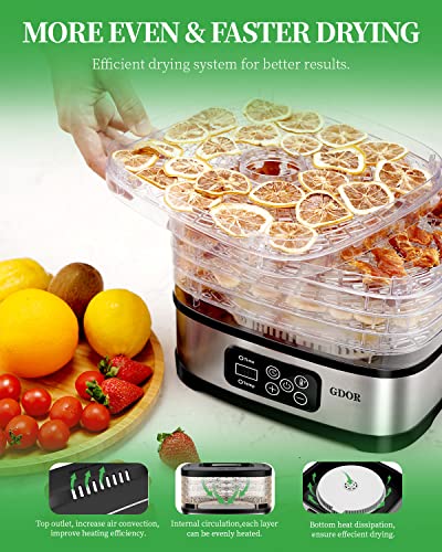 GDOR Food Dehydrator Includes Mesh Screen, Fruits Roll Sheet, Recipes, 5 Trays Dehydrator Machine with Temp Control & 72H Timer & LED Display, for Jerky, Fruit, Veggie, Herb, Dog Treat, BPA-Free