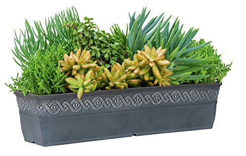 Classic Home and Garden 9418D-515 18" Corinthian Trough planter, Storm