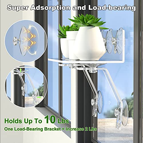 NPPLUS Acrylic Suction Cup Shelf, Tool Free Window Plant Shelves With Legs, 12 Inches Clear Acrylic Indoor Ledge Garden Stand with for Growing Herbs, Microgreens, Succulents,Etc.(1 Pack)