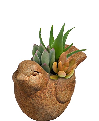 Classic Home and Garden 9/3411R/1 Bird Planter, Small, Rust
