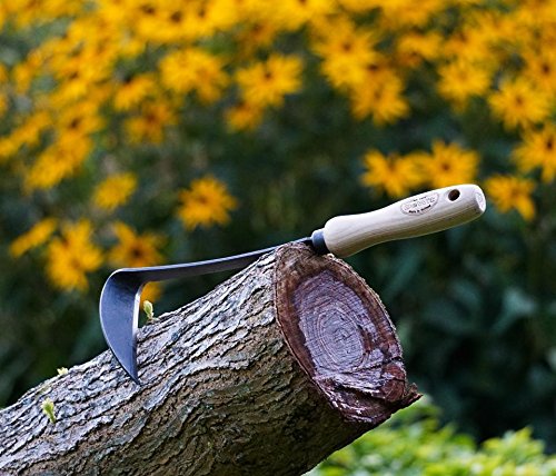 DeWit Right Hand Japanese Hand Hoe, Handheld Gardening Tool to Remove Grass, Weeds, and More