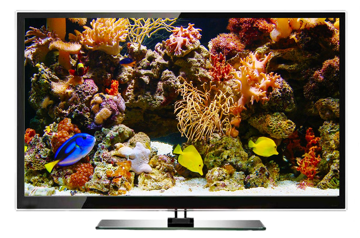 DVD Ambiance - Cheminée et Aquarium Tropical, 2 heures de vidéo d'atmosphère HD en boucles de 25 minutes