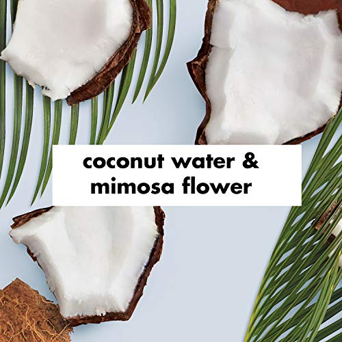 Love Beauty And Planet Deodorant Water and Mimosa Flower, Coconut, 2.95 Oz, Pack of 4