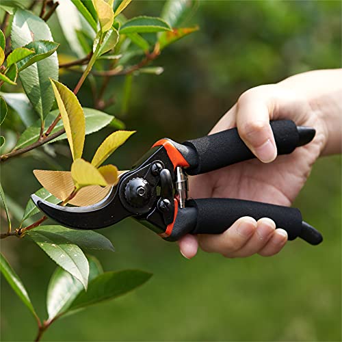 8" Professional pruners for tree trimming,rose snips,rose cutters tools,gardening shears,garden shears,Bypass Pruning Shears,Hand Pruners