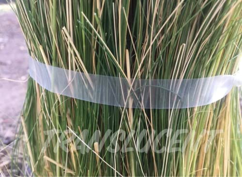 Clear Tie Tape 300 FEET x 1/2" Each Roll/Translucent Stretch Plant Ribbon Garden Vinyl - 3 Pack