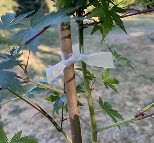 Clear Tie Tape 300 FEET x 1/2" Each Roll/Translucent Stretch Plant Ribbon Garden Vinyl - 3 Pack