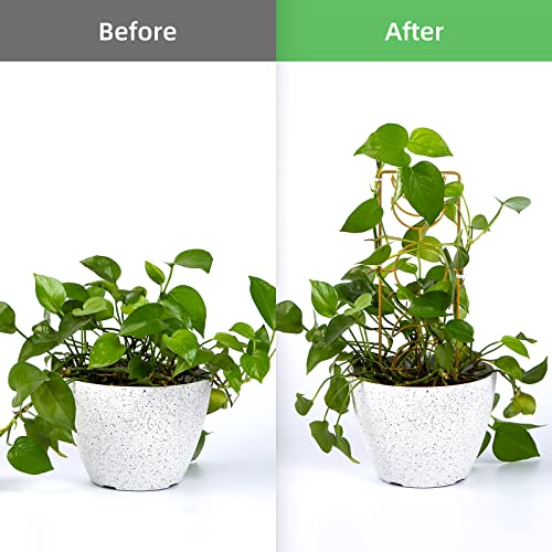 2 Pack Metal Plant Trellis for Climbing Plants Indoor,14 Inch Garden Small Trellis for Potted Plants,Moon Phase Houseplant Trellis for Pothos Monstera(Gold)